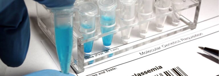 The Importance of a Thalassemia Test - Island Hospital
